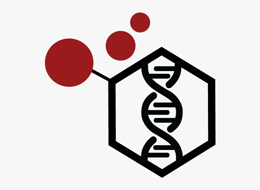 Unravel The Roles Of Secondary Metabolites, Cemist - Metabolites Png ...
