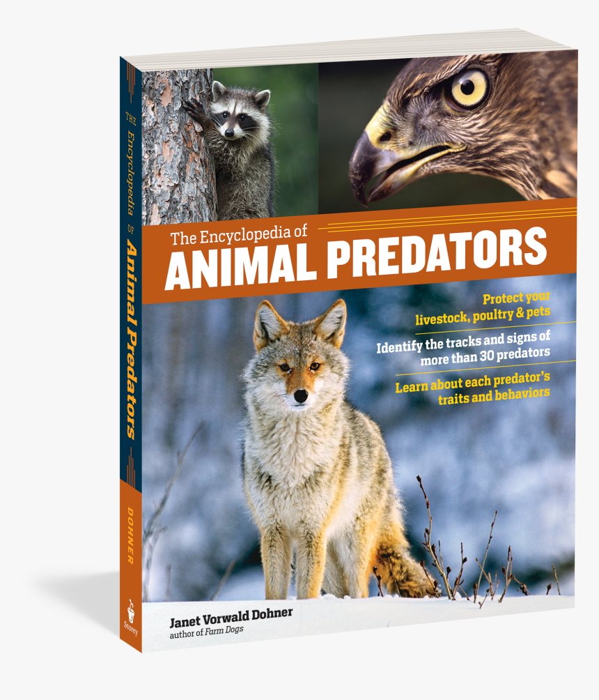 Cover - Animal Encyclopedia, HD Png Download , Transparent Png Image ...