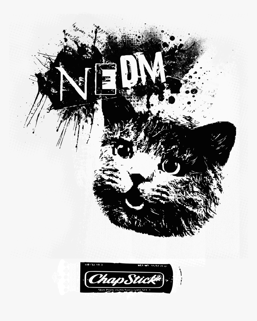 Dofus Cat Black And White Poster Text Cat Font Small - Poster, HD Png ...