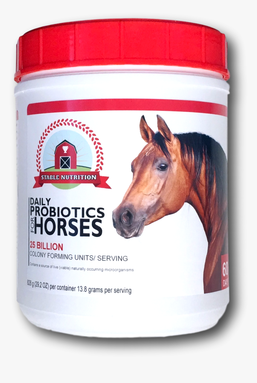 Stable Png, Transparent Png , Transparent Png Image - PNGitem