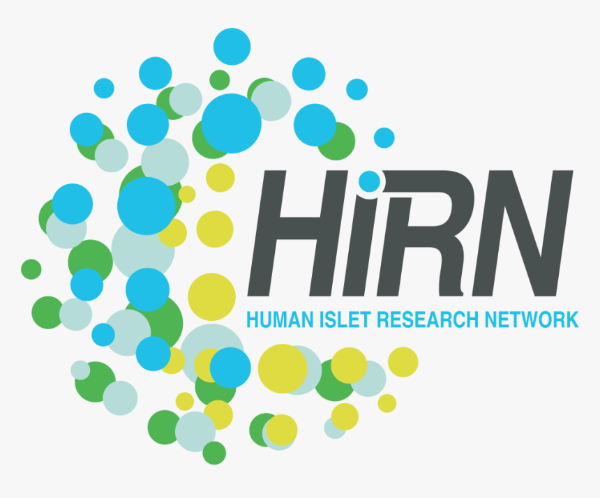 Human Islet Research Network, HD Png Download , Transparent Png Image ...