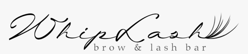 Whiplash Brow And Lash Bar - Calligraphy, HD Png Download , Transparent ...