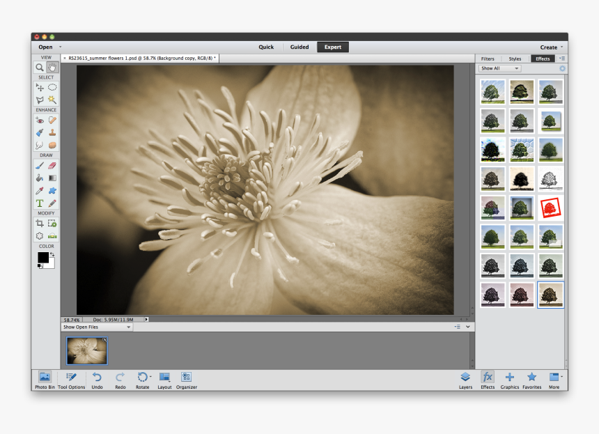 Instant Sepia Effect - Photoshop Sepia Effect, HD Png Download ...