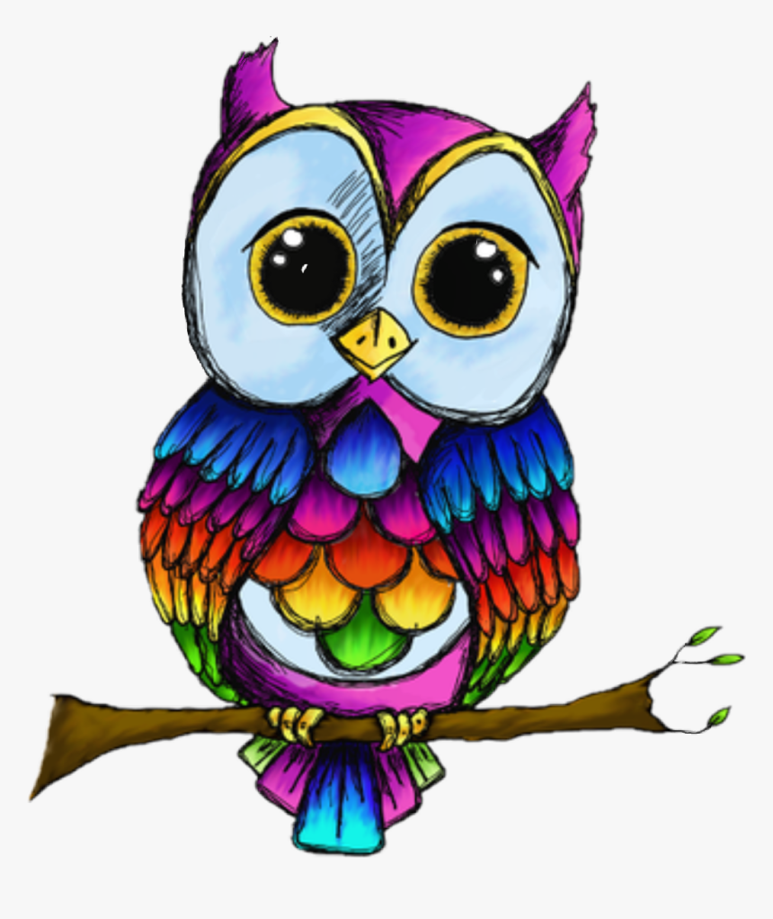 Rainbow Owl Png Clipart , Png Download - Cartoon, Transparent Png ...