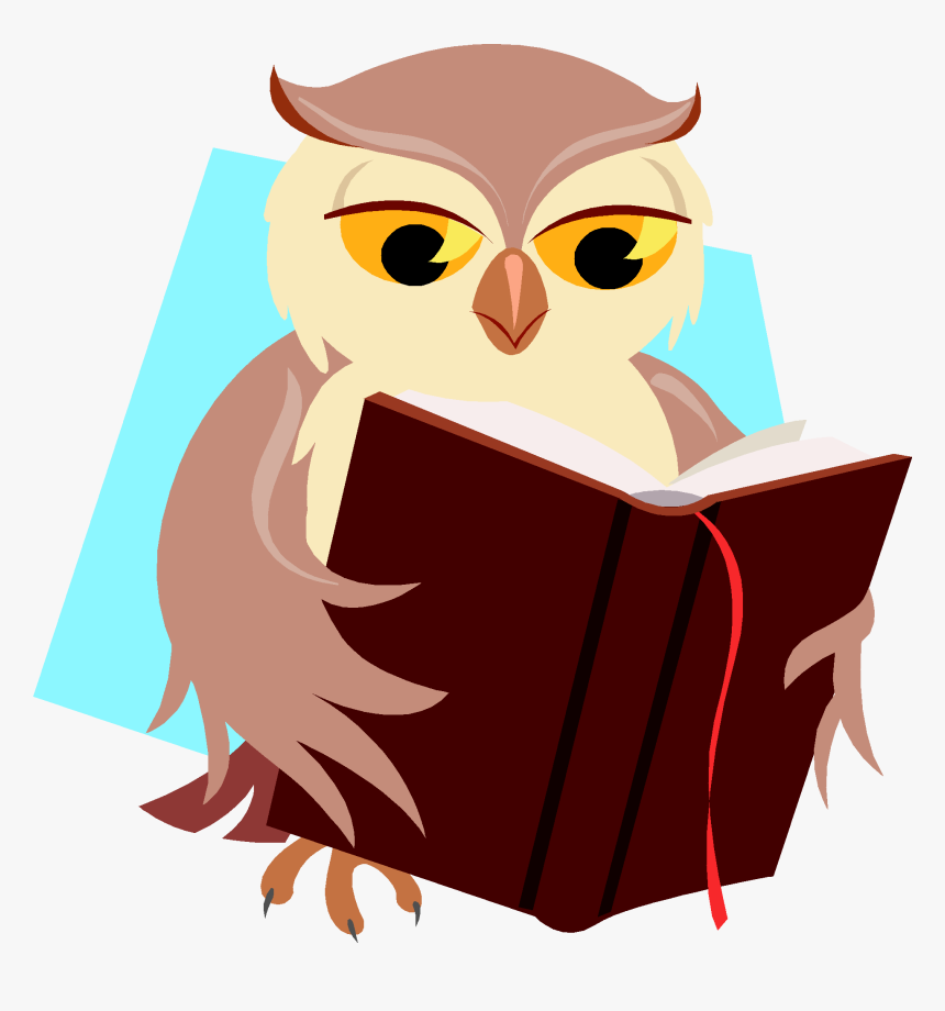 Reading Owl Clipart Schliferaward Transparent Png - Reading Owl Png ...