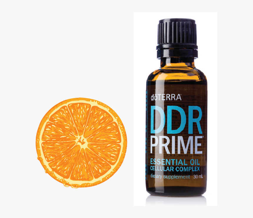 Ddr Png, Transparent Png , Transparent Png Image - PNGitem