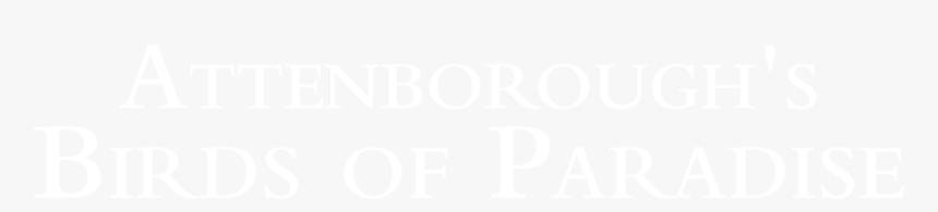 Ihs Markit Logo White, HD Png Download , Transparent Png Image - PNGitem