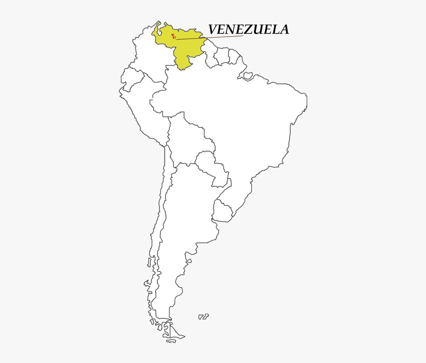 Golden Headed Lion Tamarin Range, HD Png Download , Transparent Png ...