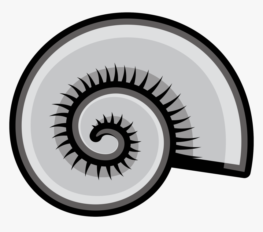 Seashell Cartoon Drawing, HD Png Download , Transparent Png Image - PNGitem
