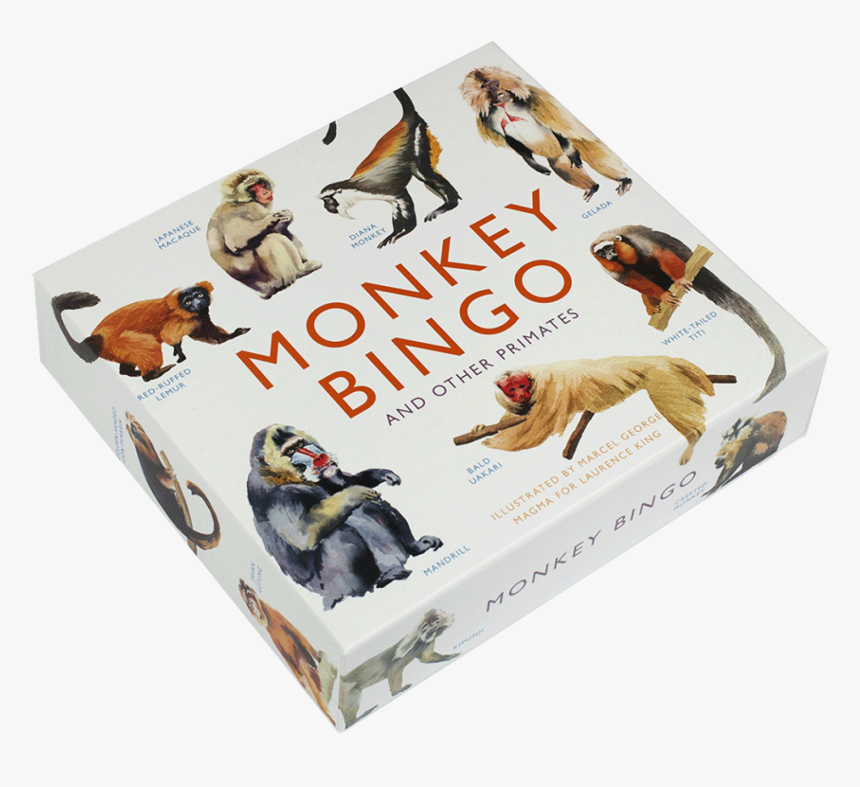 Monkey Bingo Game 6 - Puffin, HD Png Download , Transparent Png Image ...