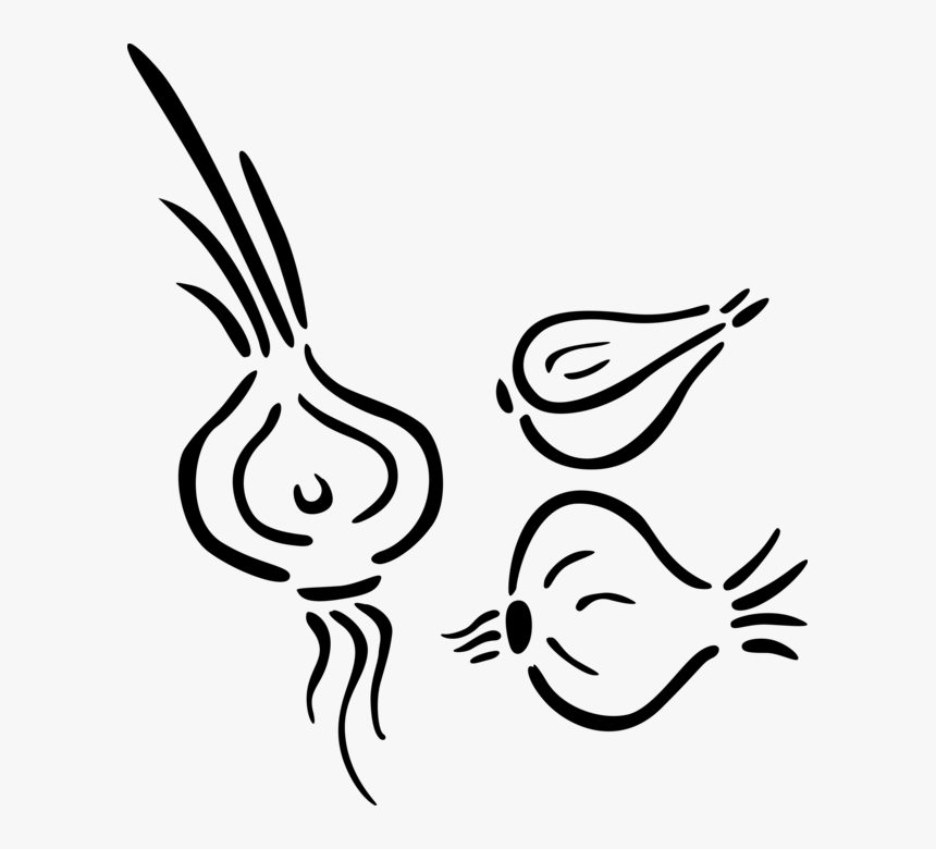 Vector Illustration Of Navigational Compass Rose North, - Illustration ...