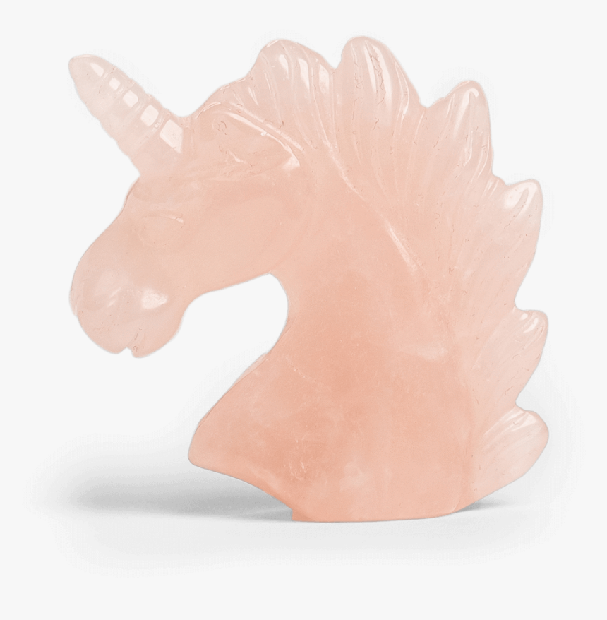 Róża Alina, HD Png Download , Transparent Png Image - PNGitem