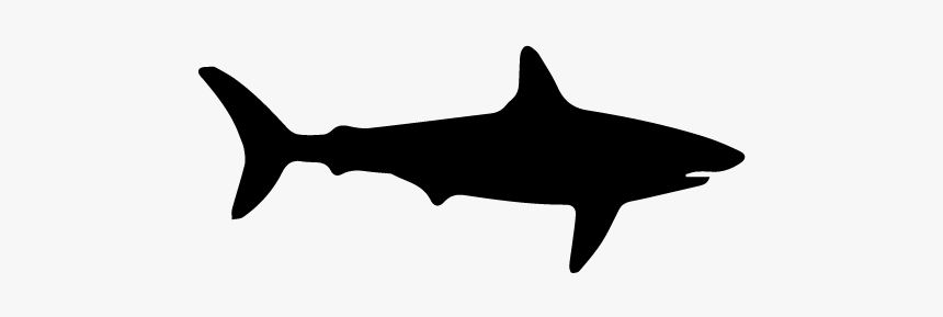 Great White Shark Silhouette Png