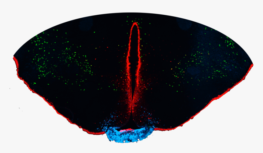 Final, HD Png Download , Transparent Png Image - PNGitem