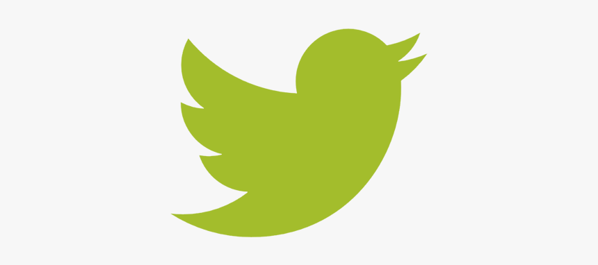 Grey Twitter Bird Png, Transparent Png , Transparent Png Image - PNGitem