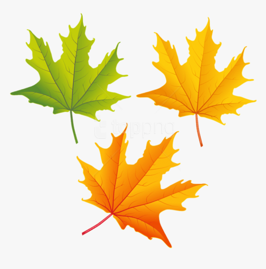 Fall Leaves Clipart High Resolution - Fall Leaves Free Clip Art, HD Png ...
