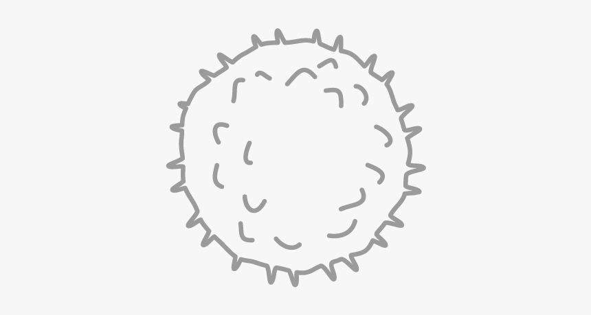 Buy Where You Ride Logo, HD Png Download , Transparent Png Image - PNGitem