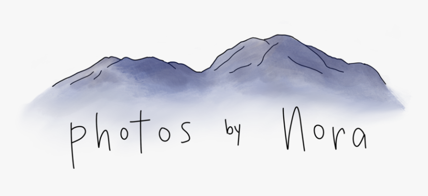 Snow Bank Png, Transparent Png , Transparent Png Image - PNGitem