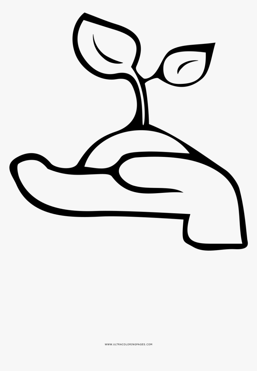 Sapling Coloring Page - Line Art, HD Png Download , Transparent Png ...
