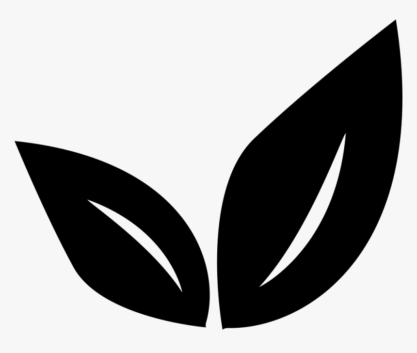 Sapling - Sapling Icon Png, Transparent Png , Transparent Png Image ...