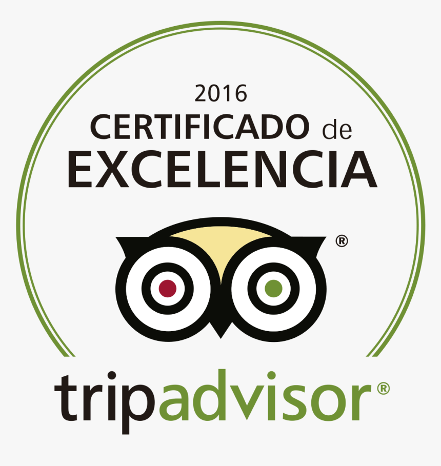 Tripadvisor Excellence Award 2017, HD Png Download , Transparent Png ...