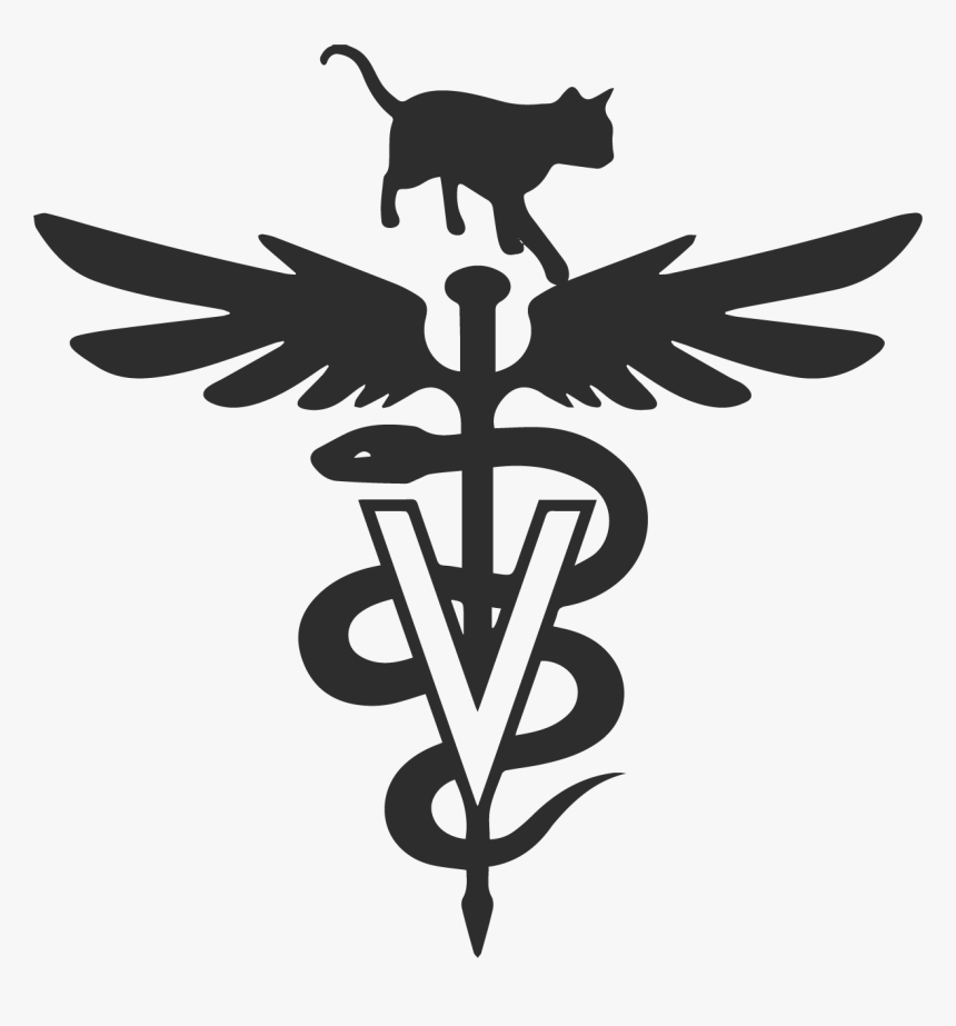 Veterinarian Symbol, HD Png Download , Transparent Png Image - PNGitem