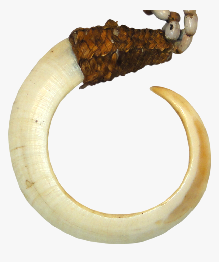 Traditional Money In Papua New Guinea, HD Png Download , Transparent ...