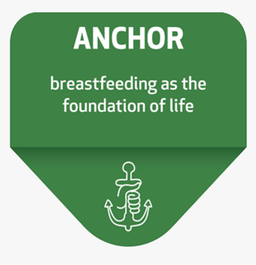 California State University, Northridge, HD Png Download , Transparent ...