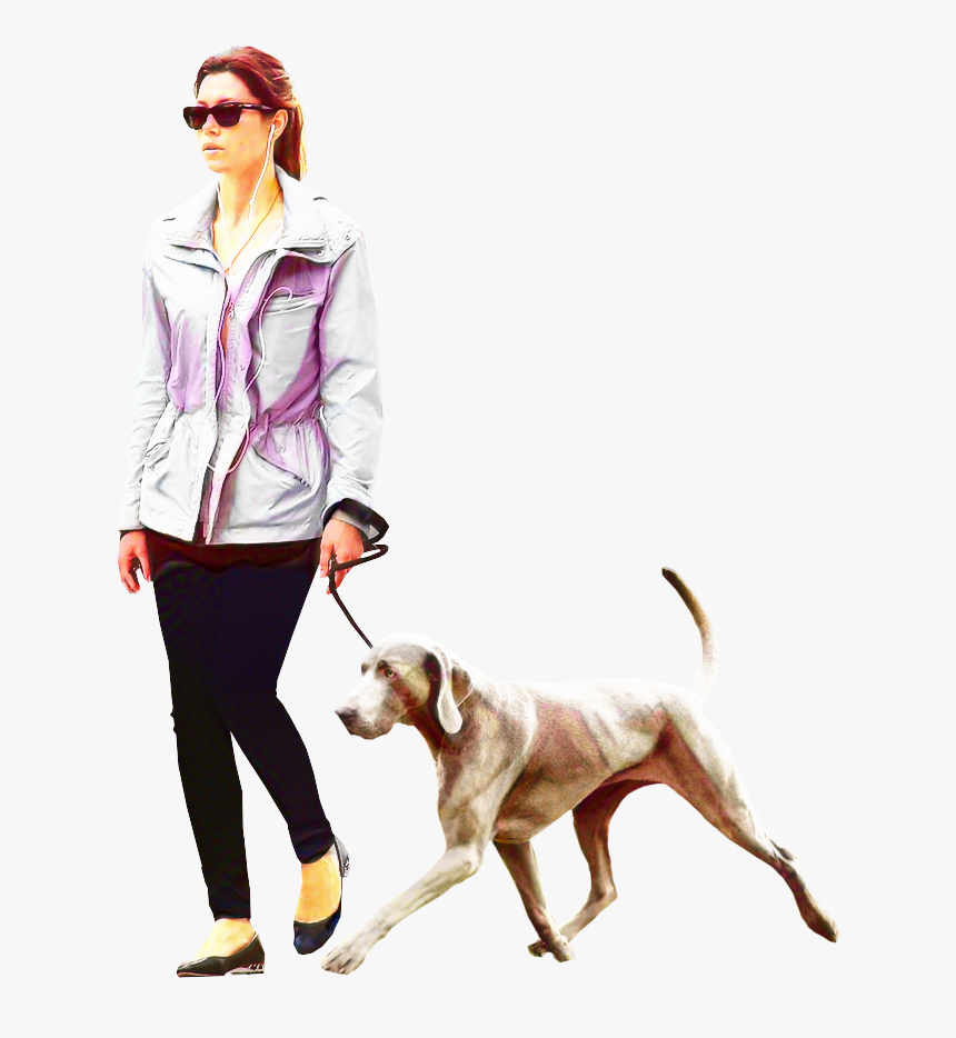 Dog Walking Portable Network Graphics Labrador Retriever - Person ...