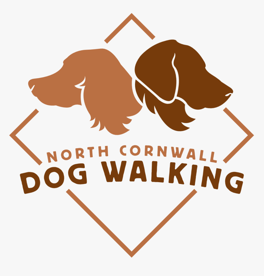 Boykin Spaniel, HD Png Download , Transparent Png Image - PNGitem