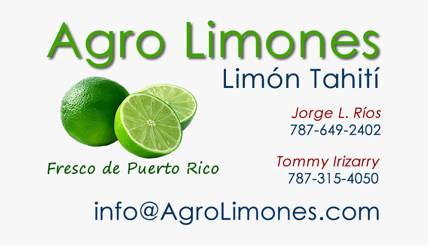 Key Lime, HD Png Download , Transparent Png Image - PNGitem