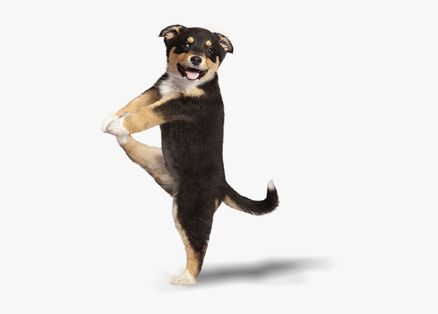 3rottipuppng - Cute Puppies Doing Tricks, Transparent Png , Transparent ...