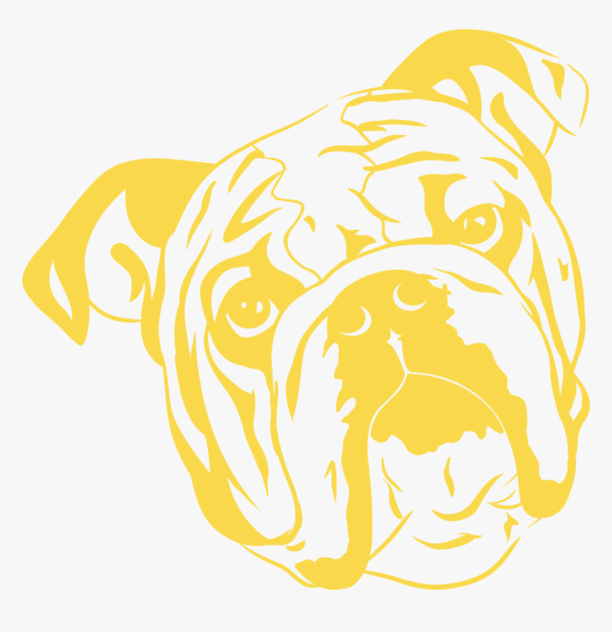 Bulldog Sketch Yellow - Illustration, HD Png Download , Transparent Png ...