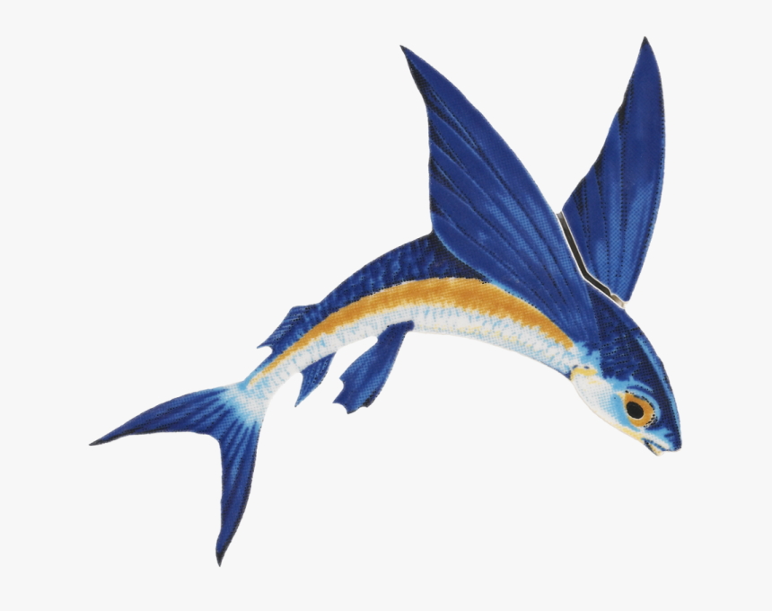 Flying Fish Png Clipart , Png Download - Flying Fish Png, Transparent ...