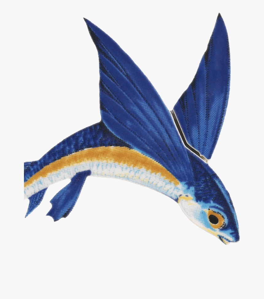 Transparent Fish Gif