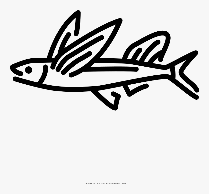 Flying Fish Coloring Page - Line Art, HD Png Download , Transparent Png ...