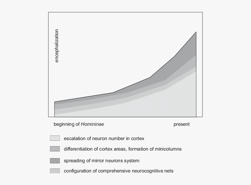 Human Evolution Png, Transparent Png , Transparent Png Image - PNGitem