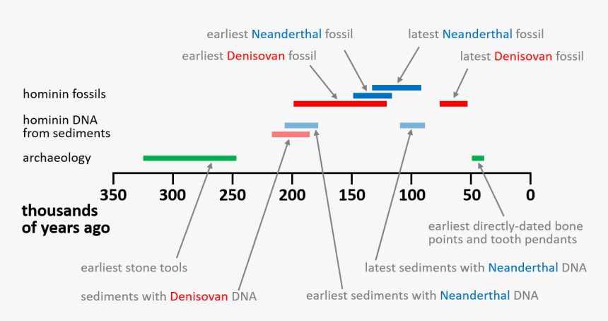 Diagram, HD Png Download , Transparent Png Image - PNGitem