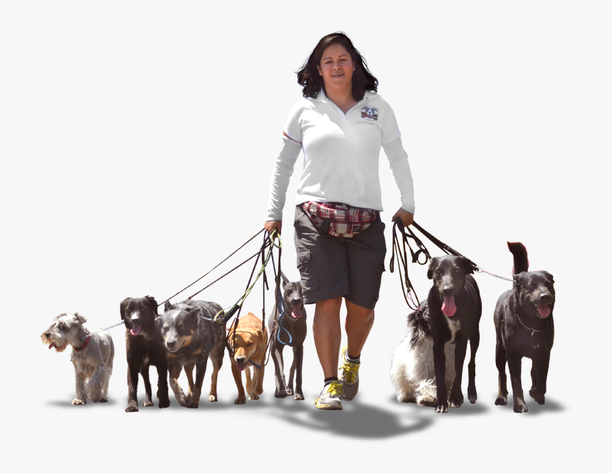 Thumb Image - Personas Paseando Perros Png, Transparent Png ...