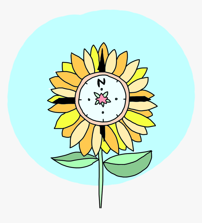 Sunflower Compass - Circle, HD Png Download , Transparent Png Image ...