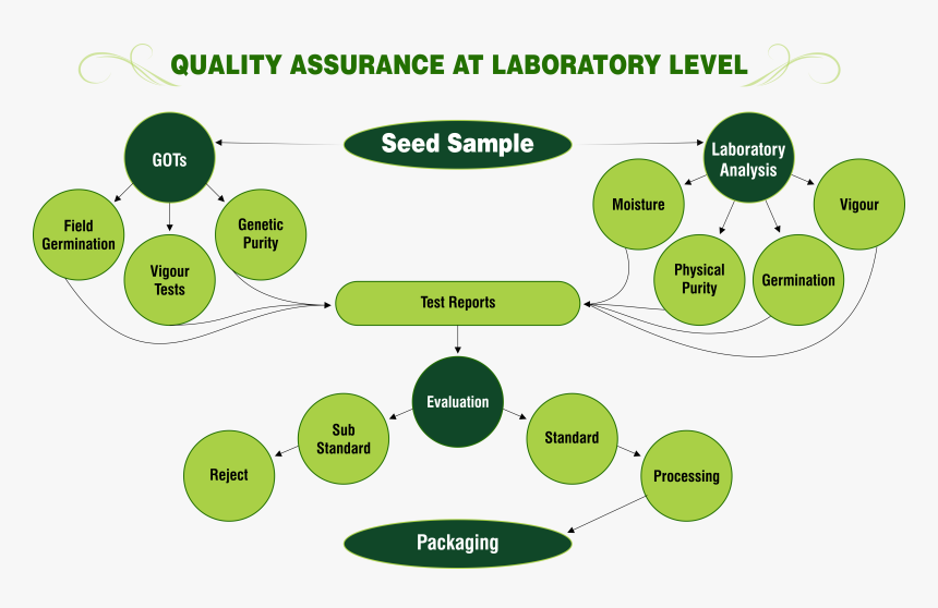 Quality Assurance At Laboratory Level - Laboratory Different Quality ...