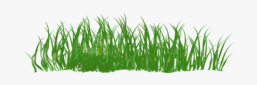 Green Cartoon Download - Cartoon Green Grass, HD Png Download ...