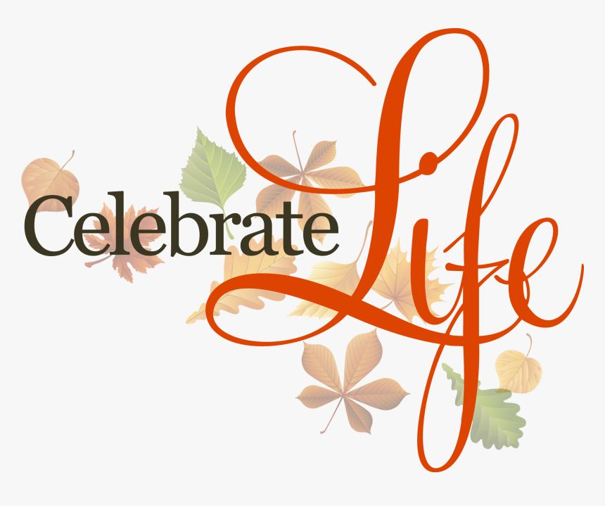 Love In Action 24 7 Pregnancy Solutions Services Birthday - Celebrate ...