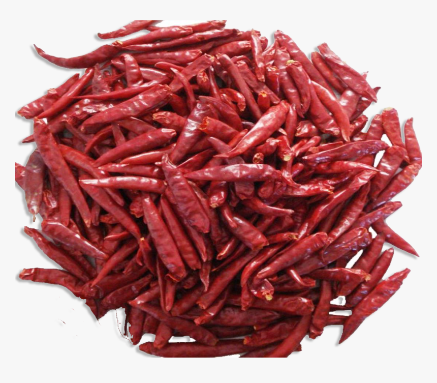 Dry Red Chilli , Png Download - Mathania Red Chilli, Transparent Png ...