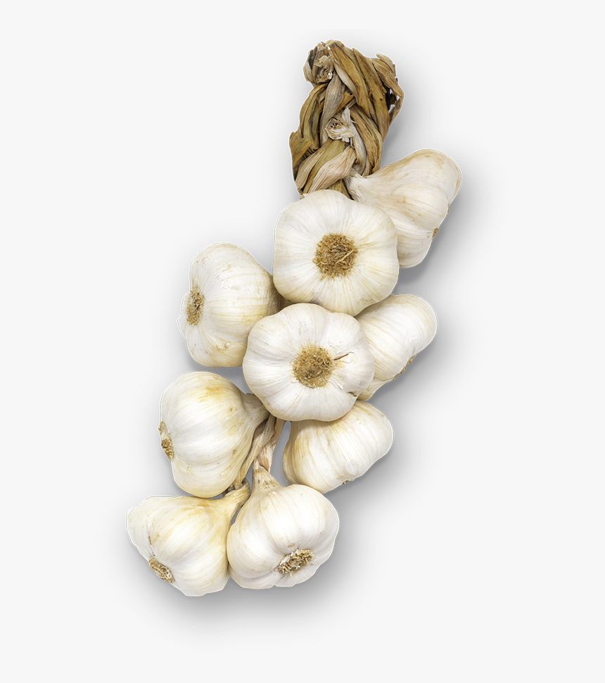 Vitlök Knippe, HD Png Download , Transparent Png Image - PNGitem