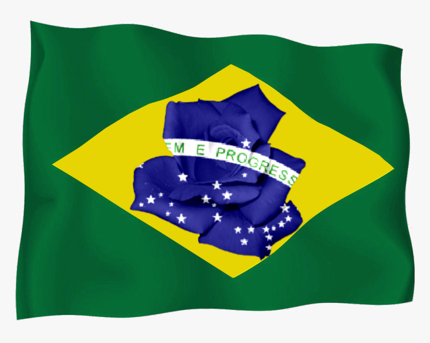 Bandeira Do Brasil, HD Png Download , Transparent Png Image - PNGitem