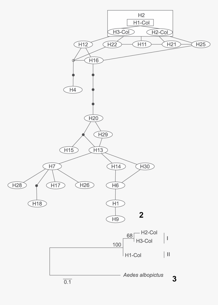 Diagram, HD Png Download , Transparent Png Image - PNGitem
