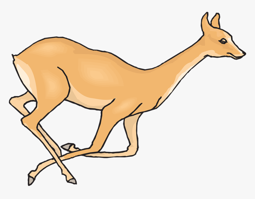 Dear Clipart Hd Animal - Drawing For Running Deer, HD Png Download ...
