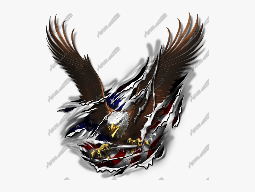 American Flag Eagle Rip, HD Png Download , Transparent Png Image - PNGitem