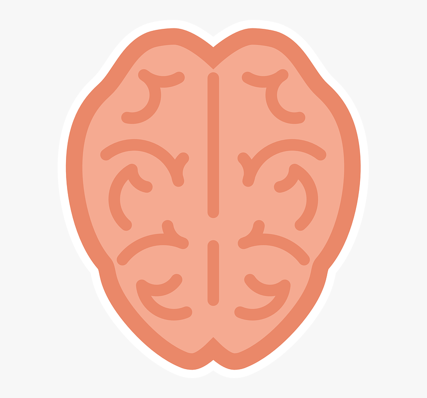 Brain Svg Clip Arts, HD Png Download , Transparent Png Image - PNGitem